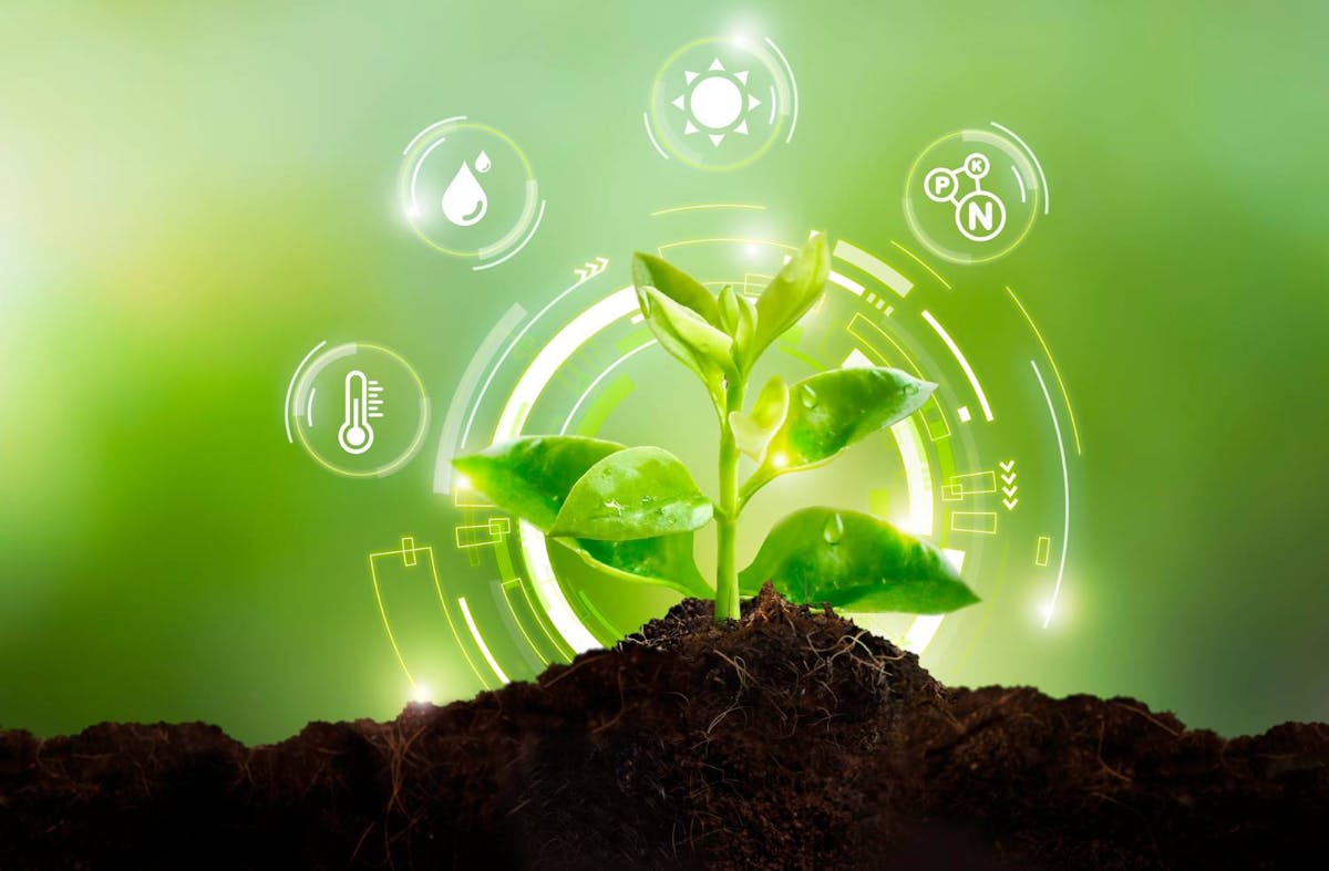 Crop Optimization | One Earth